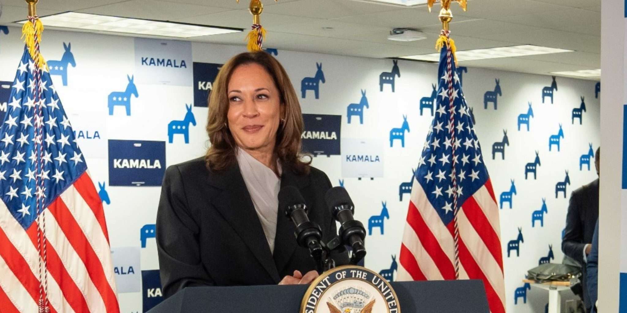 Kamala Harris and the "Memeification" of Politics - Just N Life